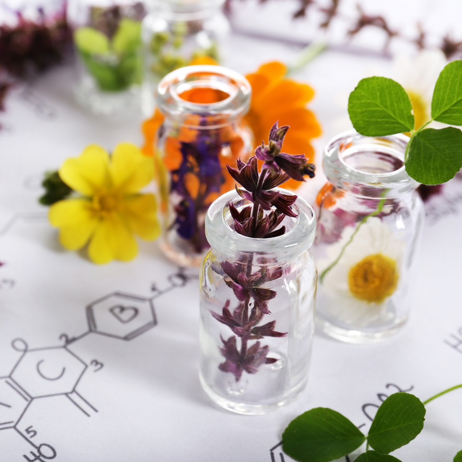 FTTR Professional – Fruits to the Roots